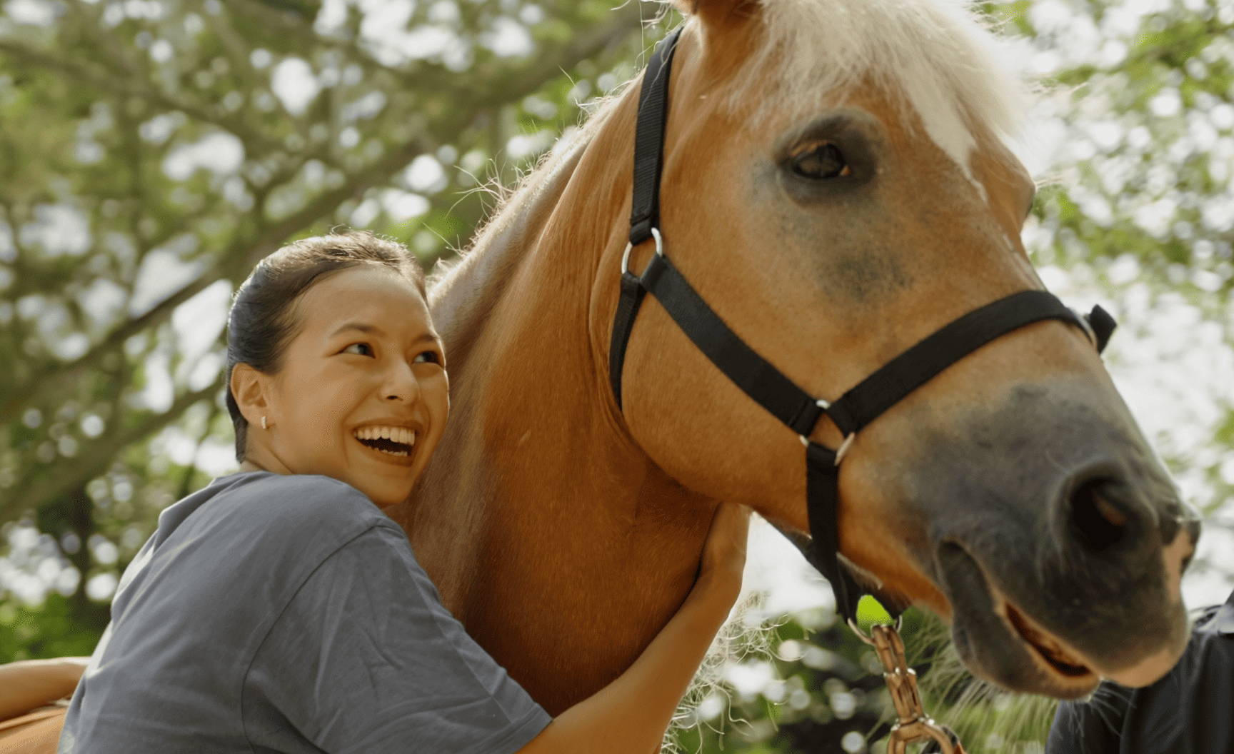 EQUAL Ark - Hayday Programme Videos – Vicinity Studio